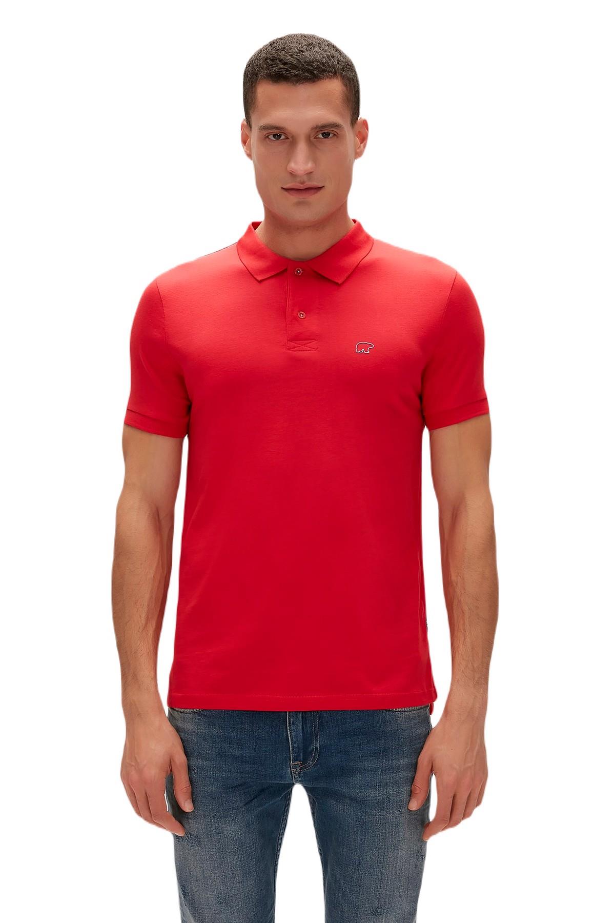 21.01.07.043-C54 Pure Erkek Polo T-Shirt Fiyatları | Flo