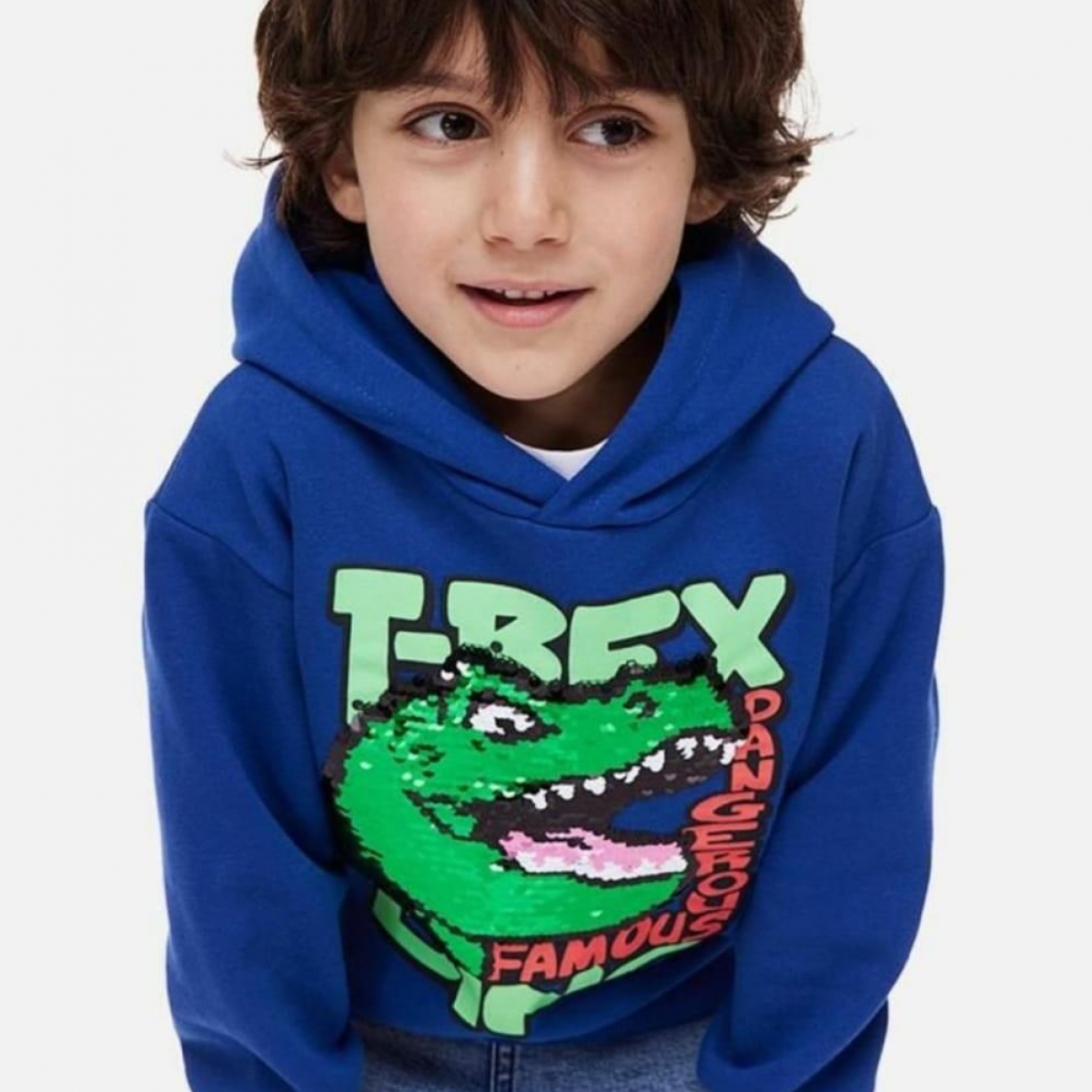 Sea Bubbles TR Trex Sweatshirt 201115061 | Flo