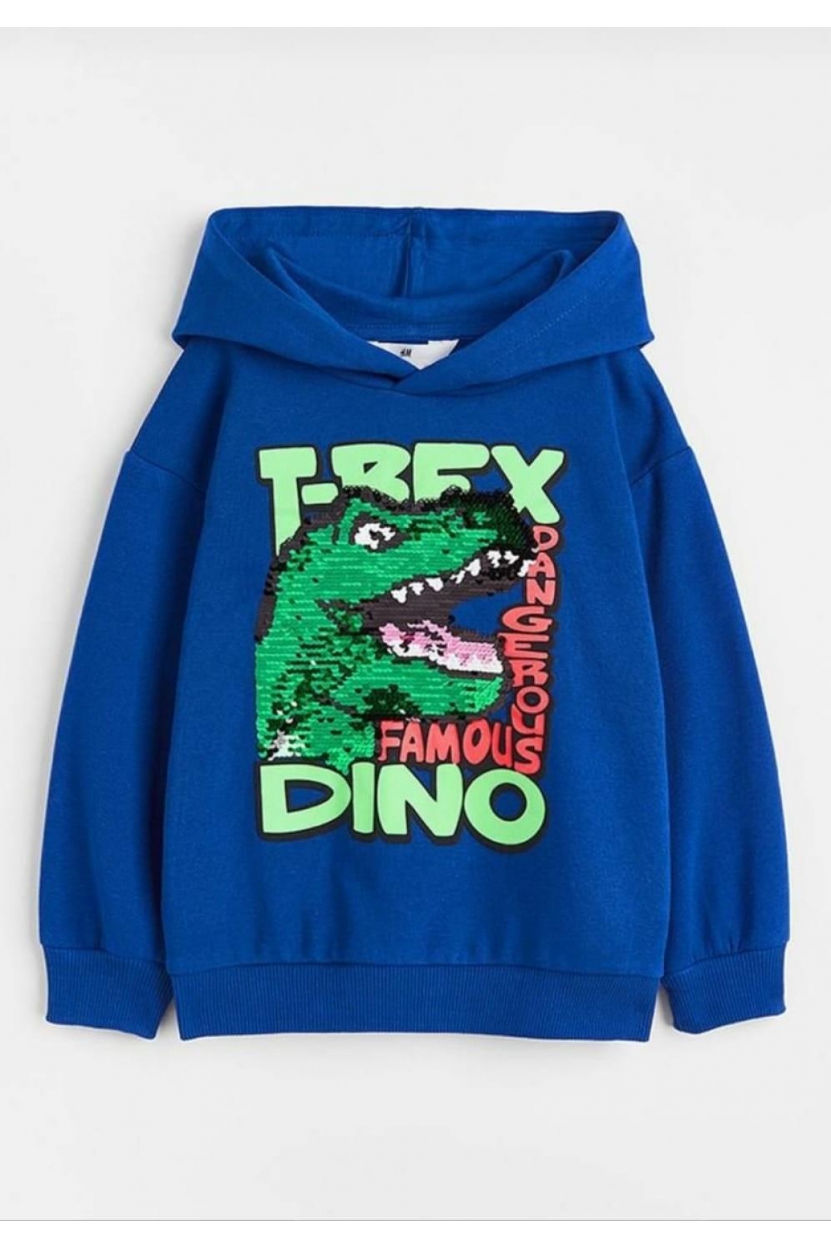 Sea Bubbles TR Trex Sweatshirt 201115061 | Flo