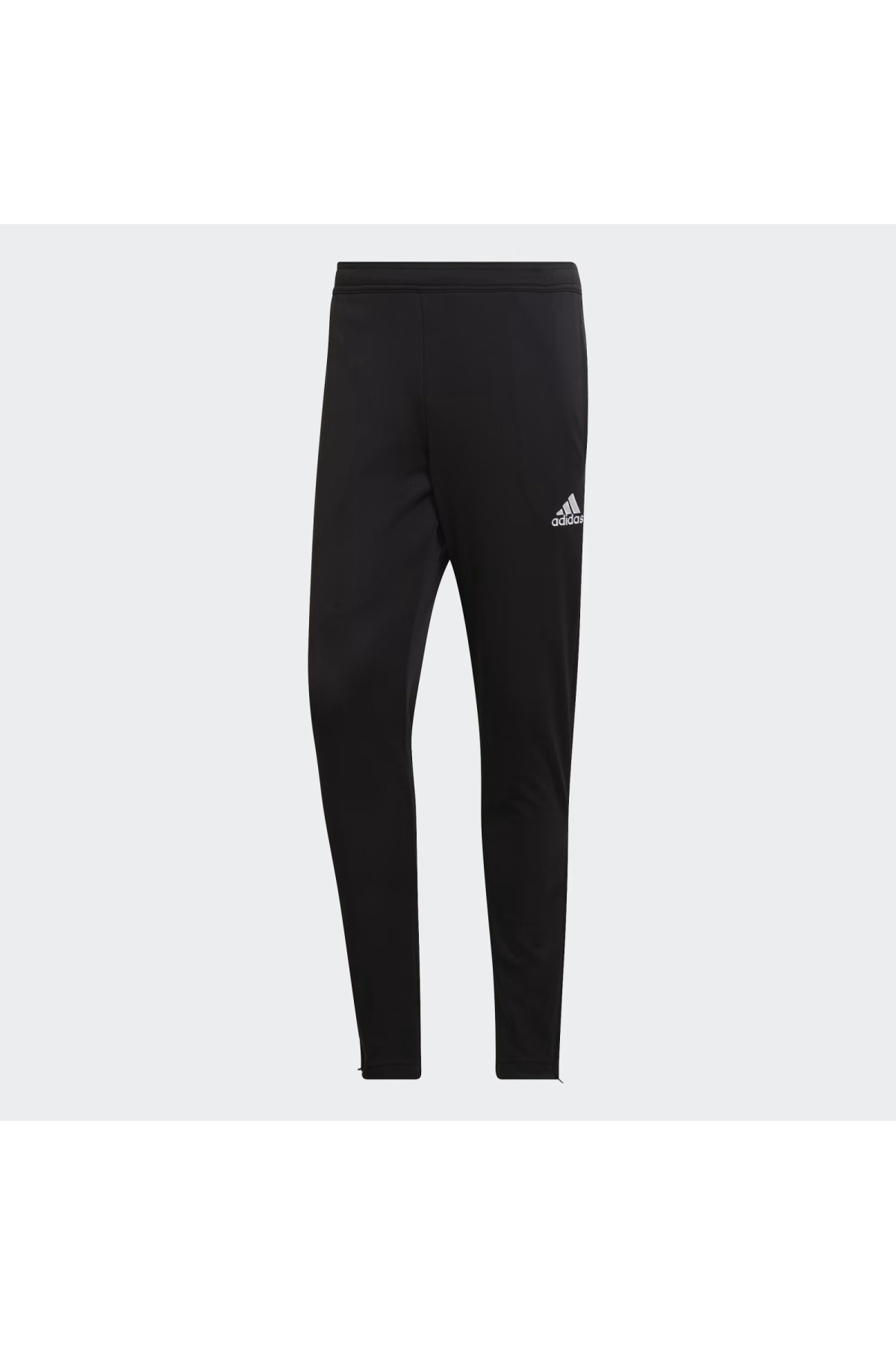 ENT22 TR PNT Fiyatları | Flo