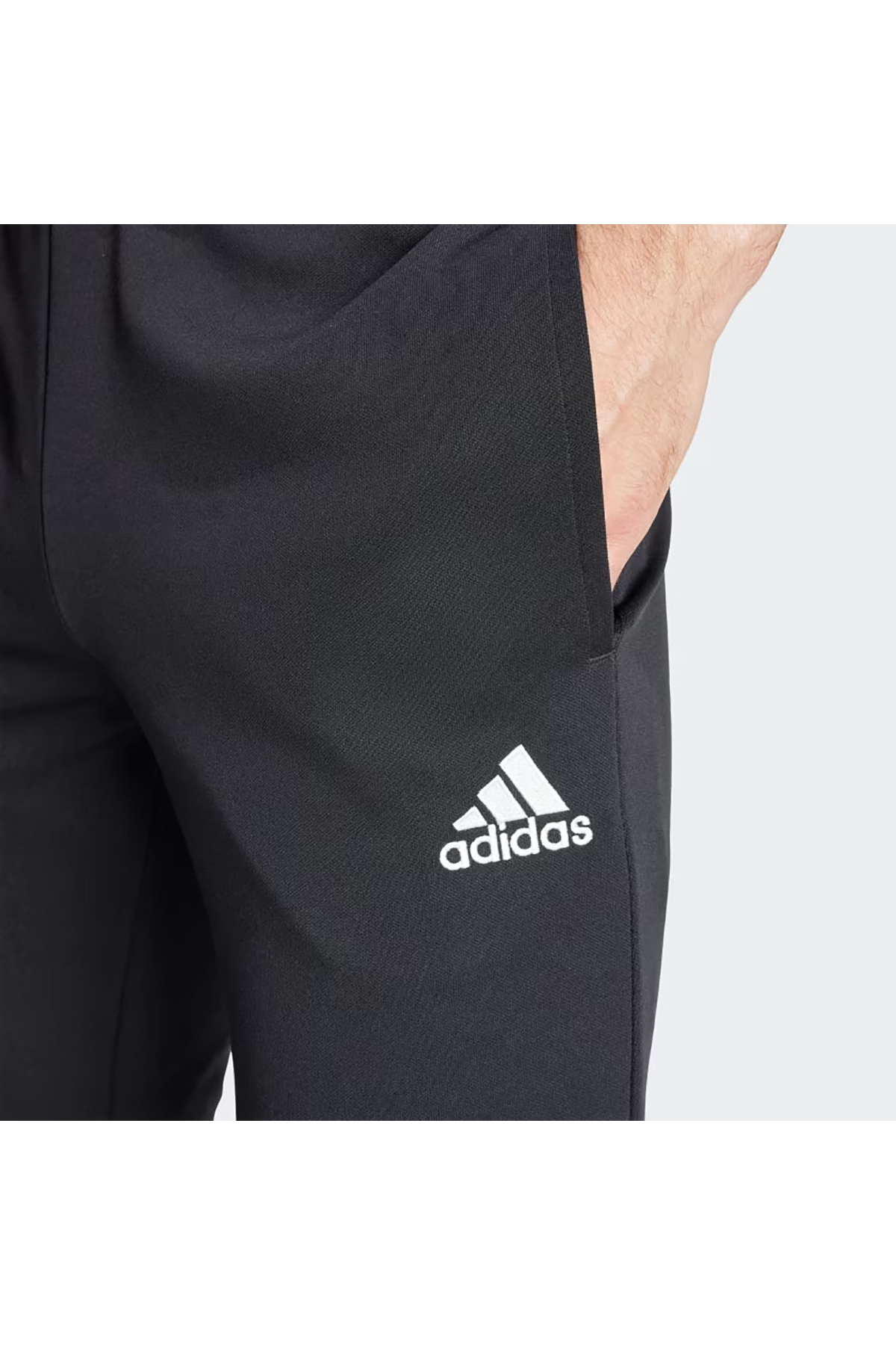 ENT22 TR PNT Fiyatları | Flo