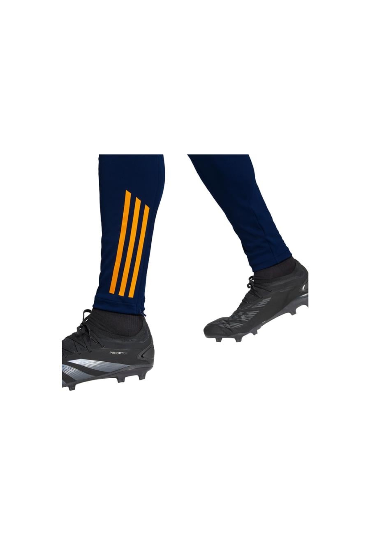 REAL TR PNT Erkek Eşofman Altı IT5113 Fiyatları | Flo