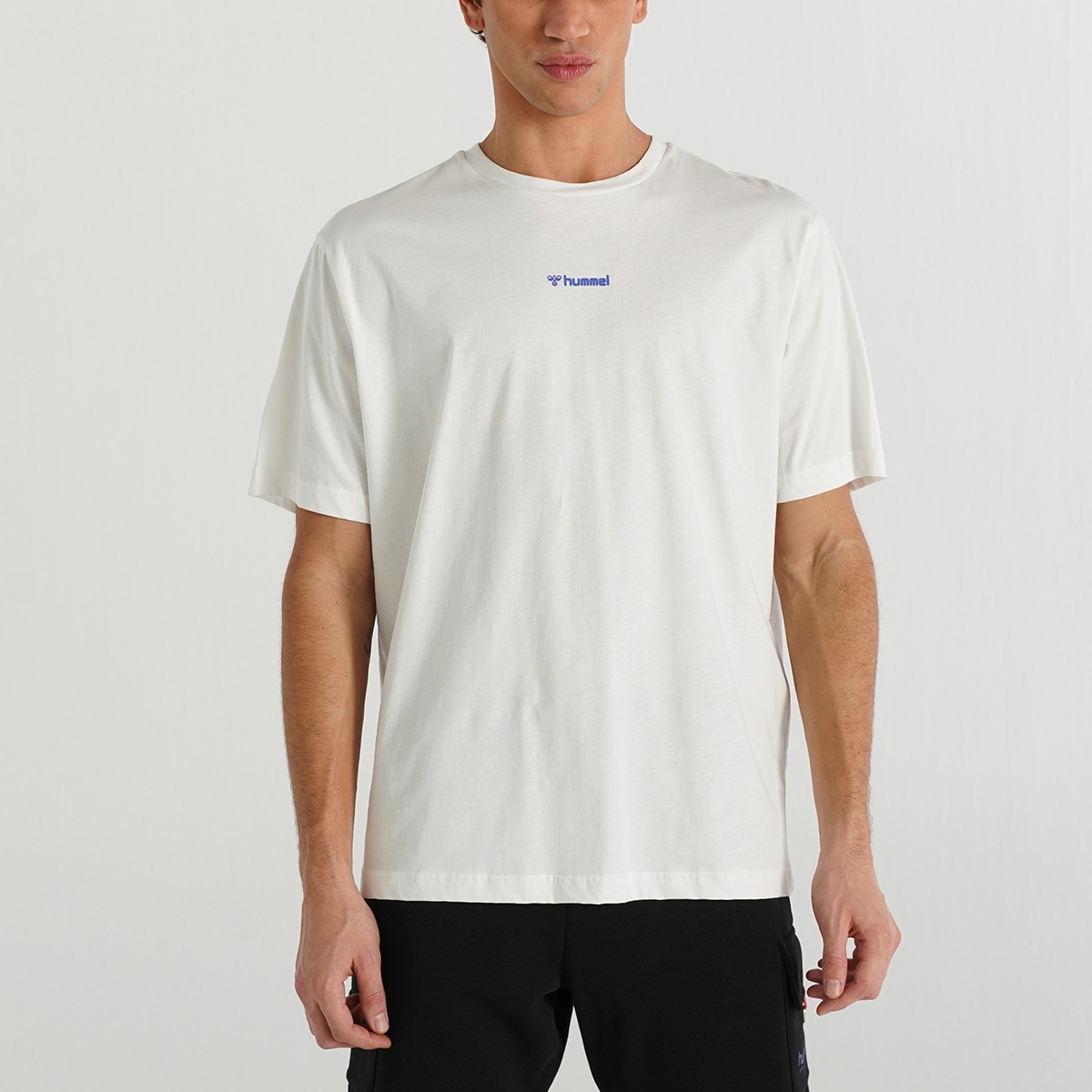 SMITH OVERSIZE KISA KOLLU TİŞÖRT Fiyatları | Flo