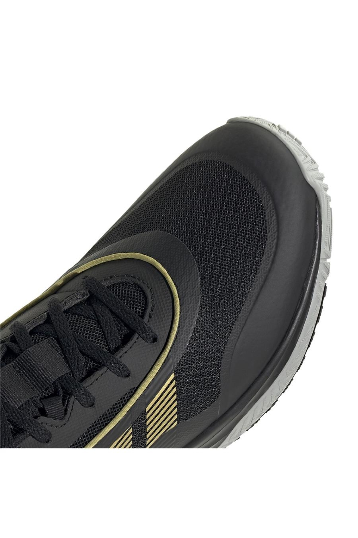 Erkek Basketbol Ayakkabısı OWNTHEGAME 3.0 IF4566 Fiyatları | Flo