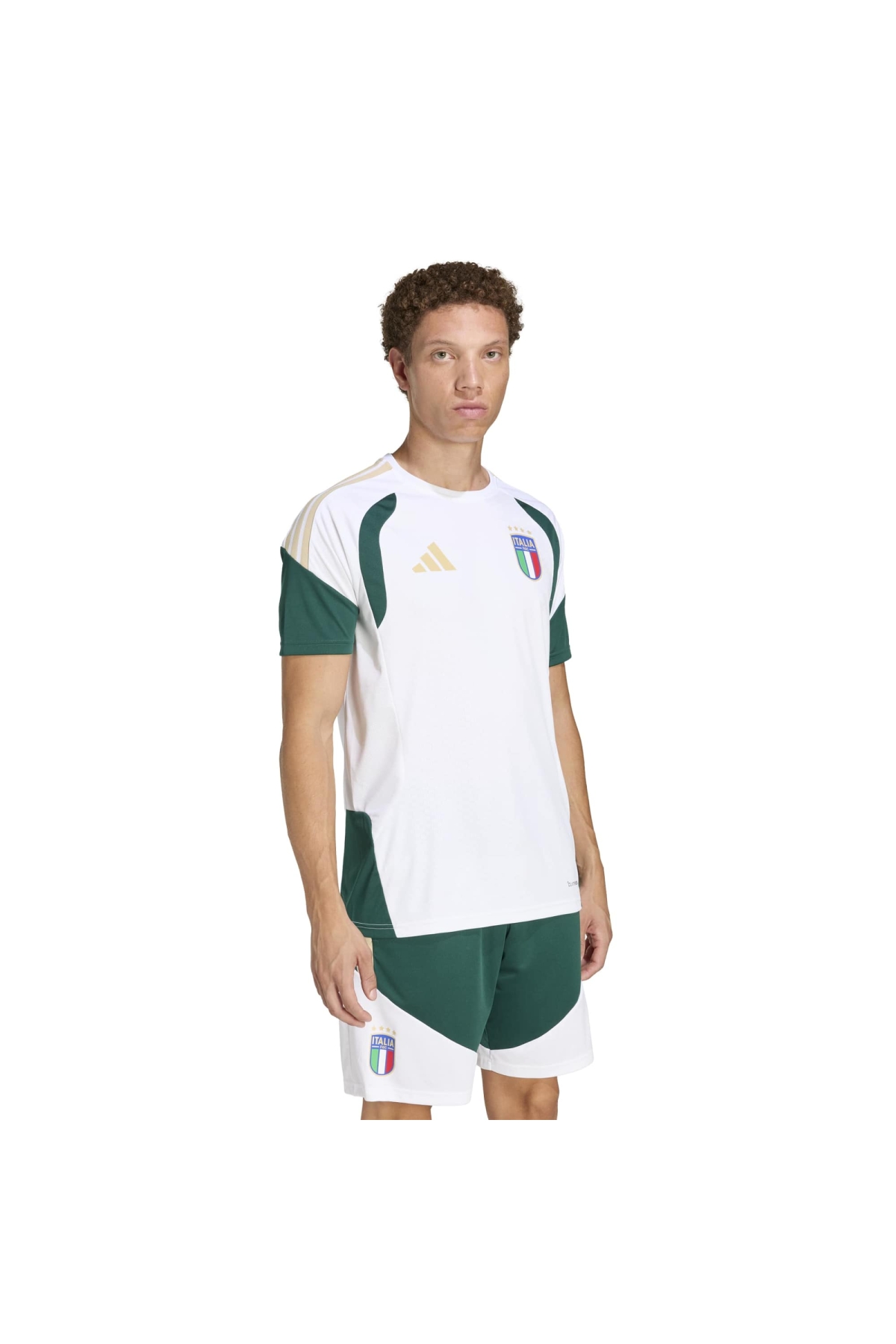 Erkek İtalya Futbol Forma Fıgc Tr Jsy Jz9375 Fiyatları | Flo